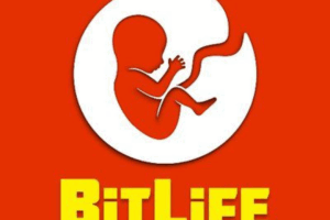 What is BitLife - The Addictive Life Simulator Taking Over Teens ...